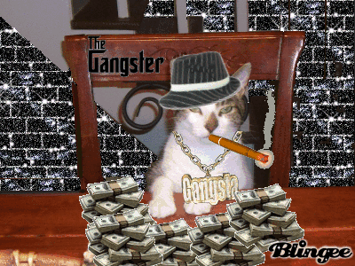 Gangster Cat GIFs - Get the best GIF on GIPHY