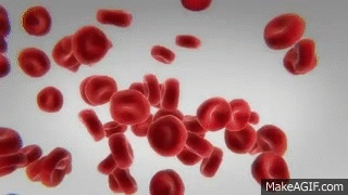 Cells GIF - Find & Share on GIPHY