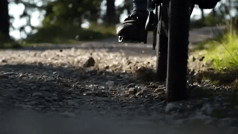 Sport Bike GIF by Tirol - Find & Share on GIPHY