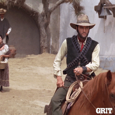 Elvis Presley Horse GIF by GritTV - Find & Share on GIPHY