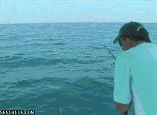 Sick Sea GIF - Find & Share on GIPHY