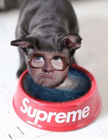 Erick Ferro - Mind Map