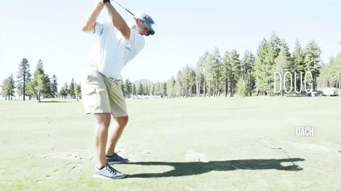 GIF by Wilson Golf - Find & Share on GIPHY