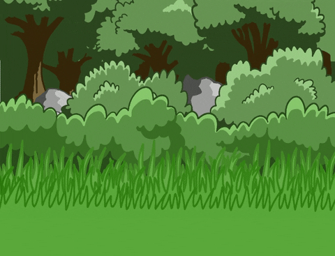 Forest GIF - Find & Share on GIPHY