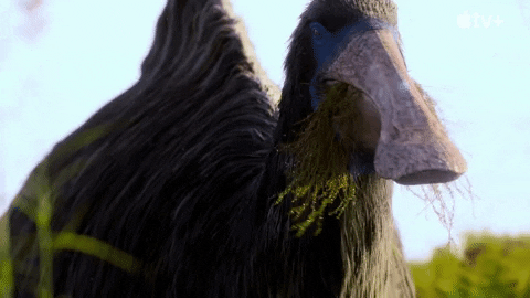 The official trailer for Prehistoric Planet was released yesterday and ...