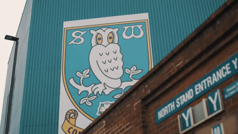 Stadium S6 GIF by Sheffield Wednesday Football Club - Find & Share on GIPHY
