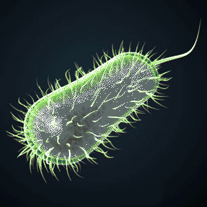 Berkeley GIFs - Get the best GIF on GIPHY