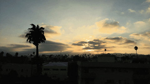 Animation Tree GIF - Find & Share on GIPHY