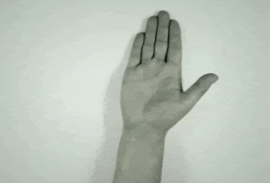 Hands GIF - Find & Share on GIPHY