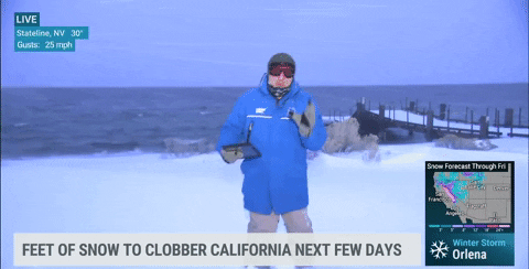 Snow Day GIF by The Weather Channel - Find & Share on GIPHY