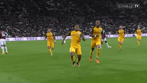 Bhafc GIF by Brighton & Hove Albion Football Club - Find & Share on GIPHY