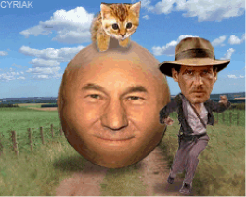 Weirdest Gifs Of All Time