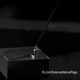 Physics GIFs