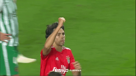 Sl Benfica Celebration GIF by Sport Lisboa e Benfica - Find & Share on ...
