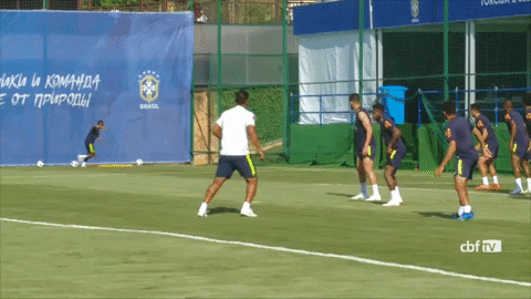 Selecao Brasileira GIF by Confederação Brasileira de Futebol - Find ...