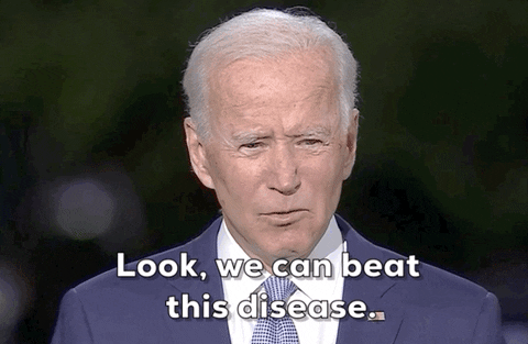 Joe Biden GIF by Election 2020 - Find & Share on GIPHY