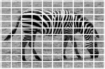 Processing GIF - Find & Share on GIPHY