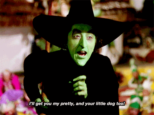 Pretty GIF - Find & Share on GIPHY