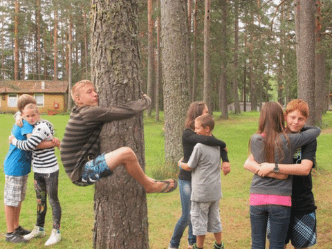 Tree Hugging GIF - Find & Share on GIPHY