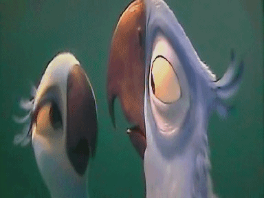 Jewel GIF - Find & Share on GIPHY