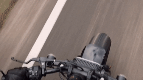 Ride GIF by Harley-Davidson - Find & Share on GIPHY