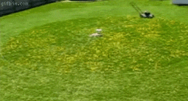 Lawnmowing GIF - Find & Share on GIPHY