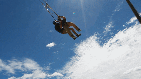 Challenge Course GIF by Laurentian University - Find & Share on GIPHY