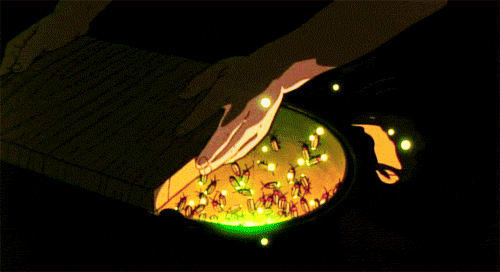 Fireflies GIF - Find & Share on GIPHY