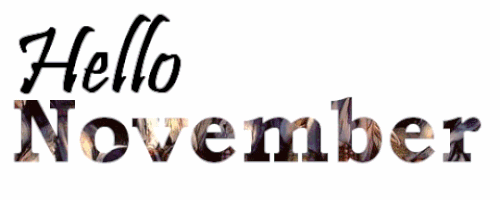 November GIF - Find & Share on GIPHY