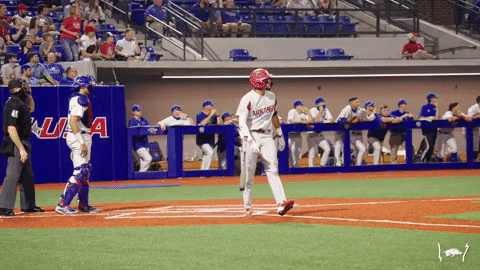 Home Run Baseball GIF by Arkansas Razorbacks - Find & Share on GIPHY