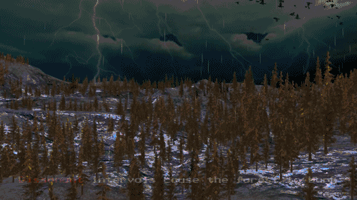 Forest GIF - Find & Share on GIPHY