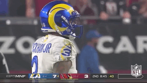 Los Angeles Rams Football GIF by NFL - Find & Share on GIPHY