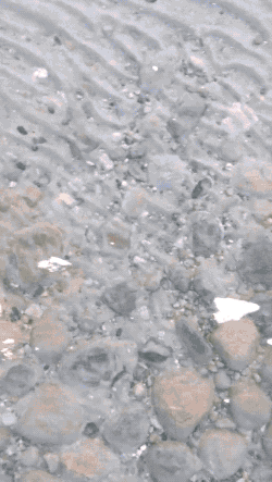 Ice GIF - Find & Share on GIPHY