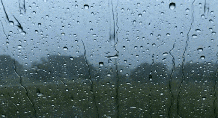 Rainy Day GIF - Find & Share on GIPHY