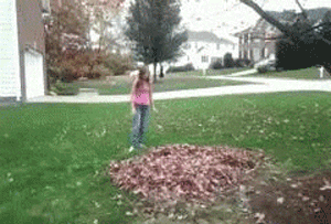 Leaves GIFs - Find & Share on GIPHY