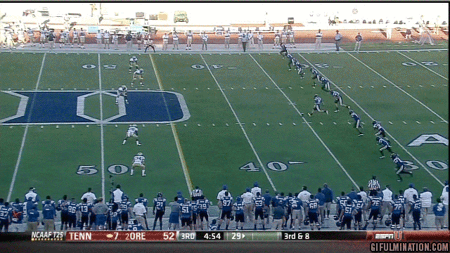 Lindsey Duke Gif Pin on NFL!!!