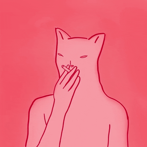 Cats Smoking GIF by Hannah Howard - Find & Share on GIPHY