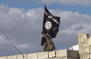 Isis Flag GIFs - Find & Share on GIPHY