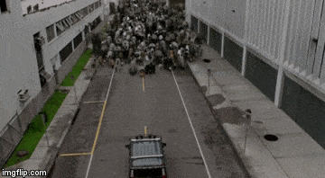 Stampede GIF - Find & Share on GIPHY