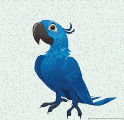 Rio GIF - Find & Share on GIPHY