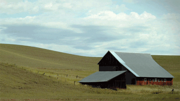 Outdoors GIF - Find & Share on GIPHY