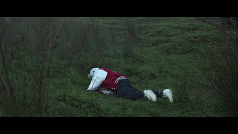 Wilderpeople GIF by The Orchard Films - Find & Share on GIPHY