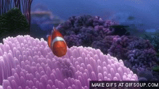 Finding Nemo GIF - Find & Share on GIPHY