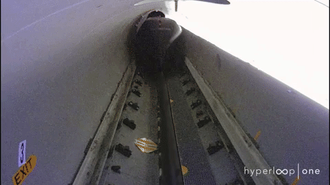 GIF by The Telegraph - Find & Share on GIPHY