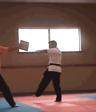 Board Break GIFs - Find & Share on GIPHY