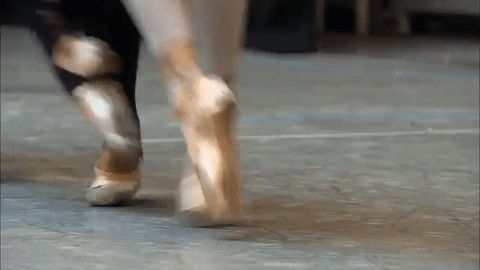 - Find & Share on GIPHY