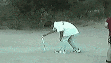 Dog Exploding GIF - Find & Share on GIPHY