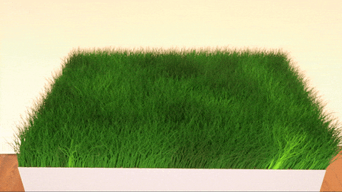 Grass Satisfying GIF - Find & Share on GIPHY