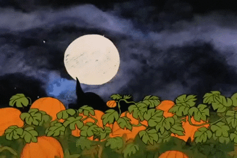 Its The Great Pumpkin Charlie Brown Halloween GIF by Peanuts - Find ...
