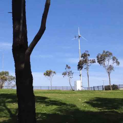 Wind GIF - Find & Share on GIPHY